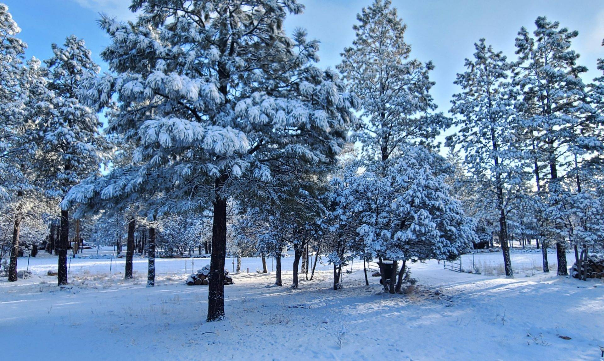 Blue Ridge Community Church – The faith of a mustard seed can move ...